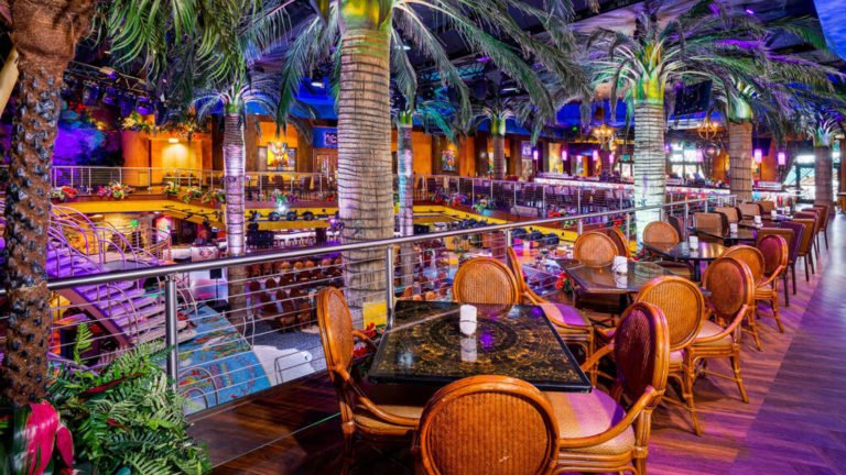 Mango’s Tropical Cafe to Host New Year’s Eve Extravaganza