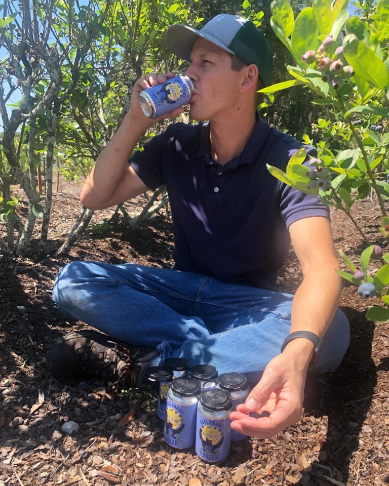 Blueberry Picking Near Orlando