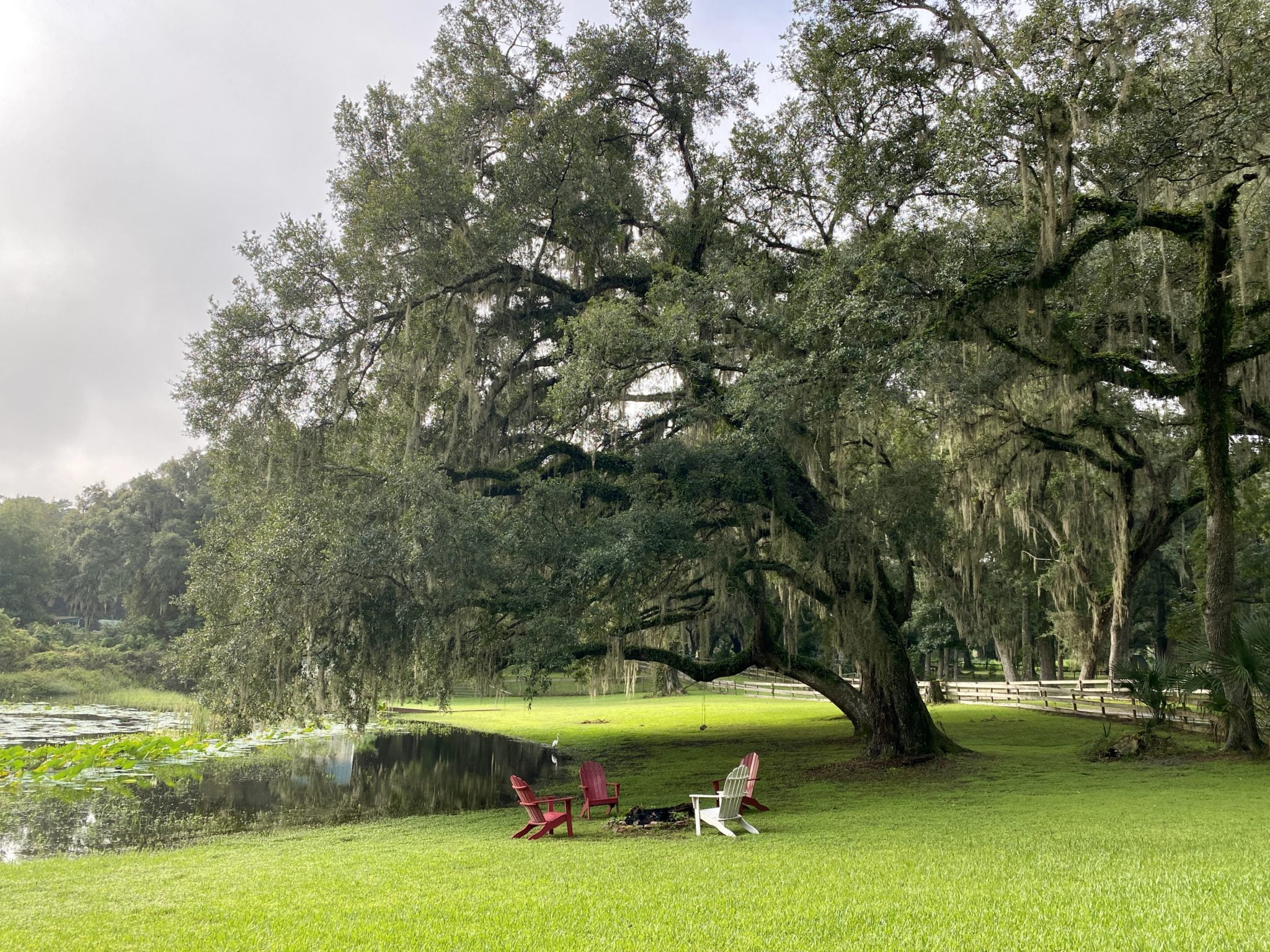 A Relaxing Escape Glamping at Enchanted Oaks Farm and Lakehouse